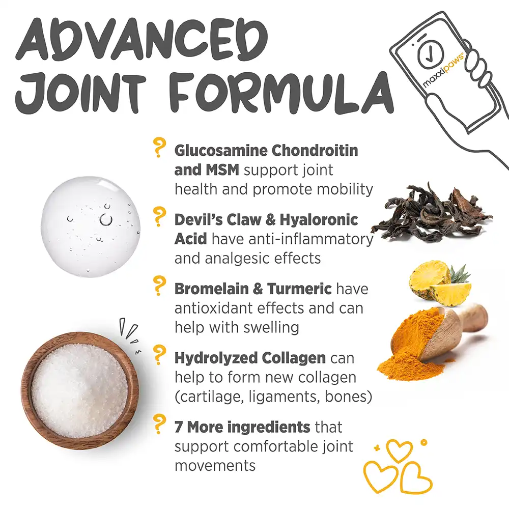 maxxiflex+ 120 - maxxipaws EU