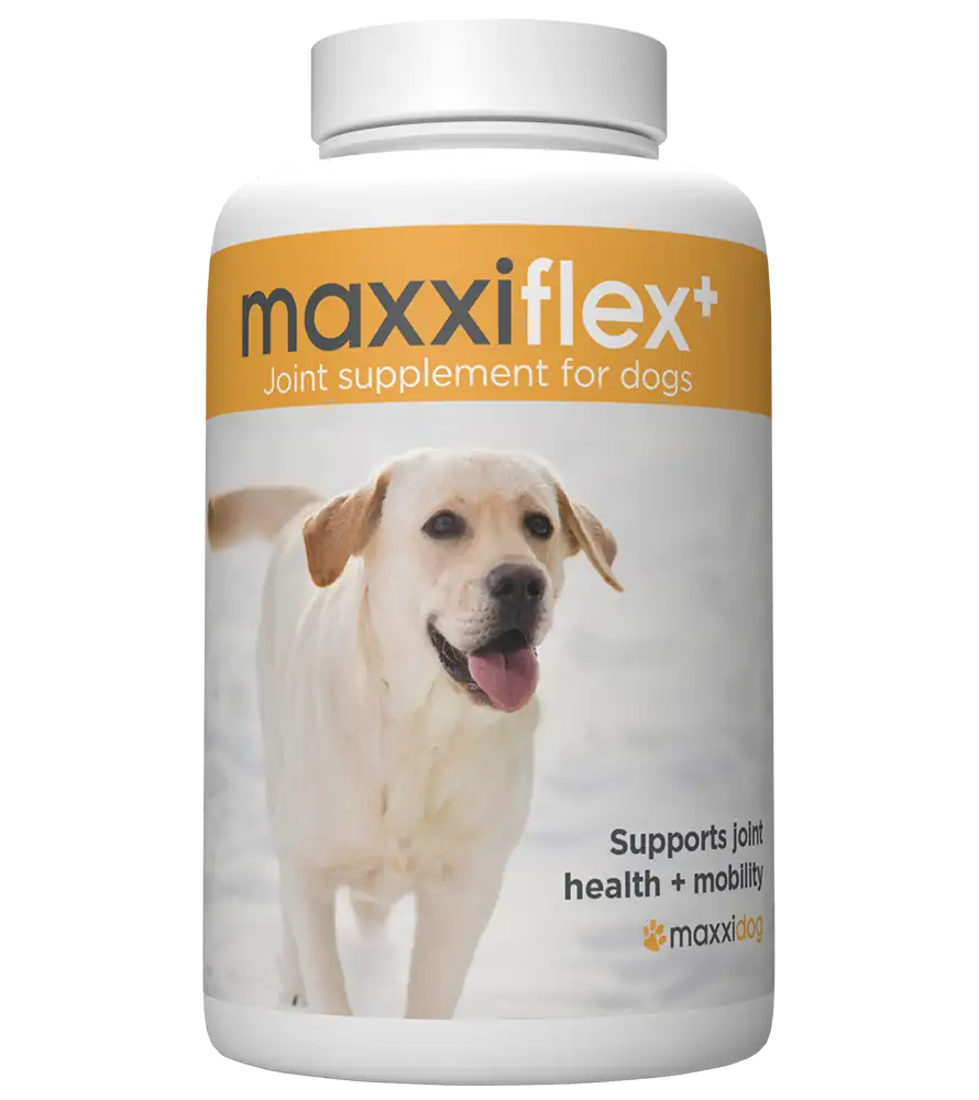 maxxiflex+ 120 - maxxipaws EU